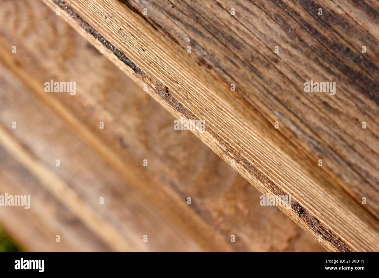 Natural rustic wood background and texture Stock Photo - Alamy