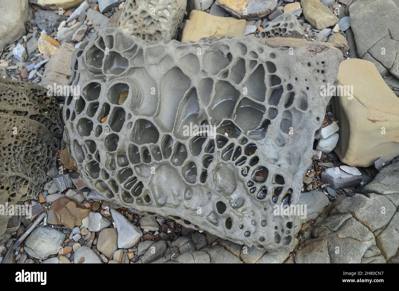 Closeup shot of a porous rock on the beach in Gwa Island, Myanmar Stock ...