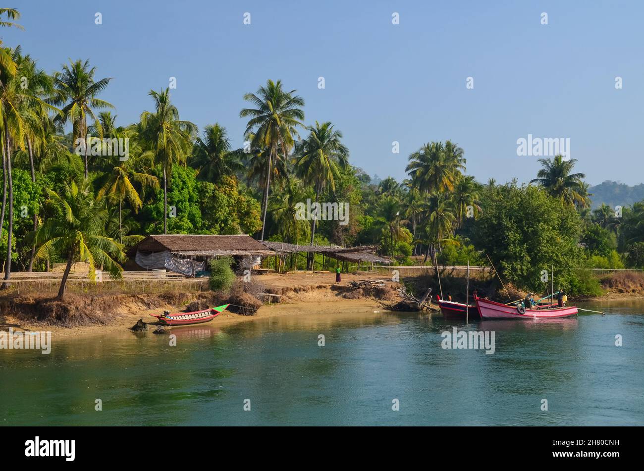 Trees at the seaside in Gwa, Myanmar Stock Photo - Alamy