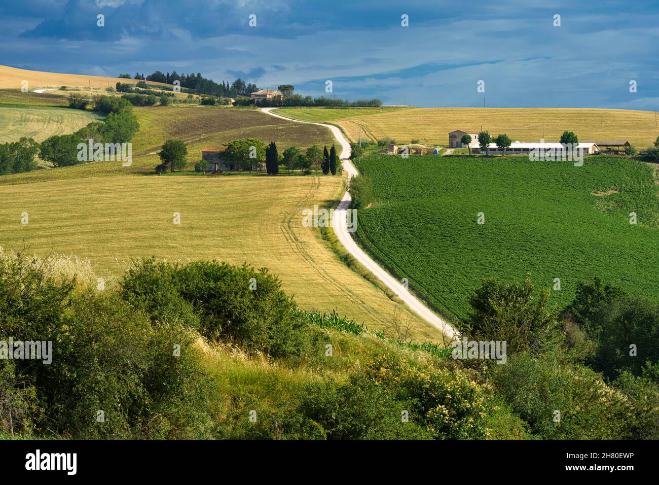 Country landscape along the road from Ostra Vetere to Cingoli, Ancona ...