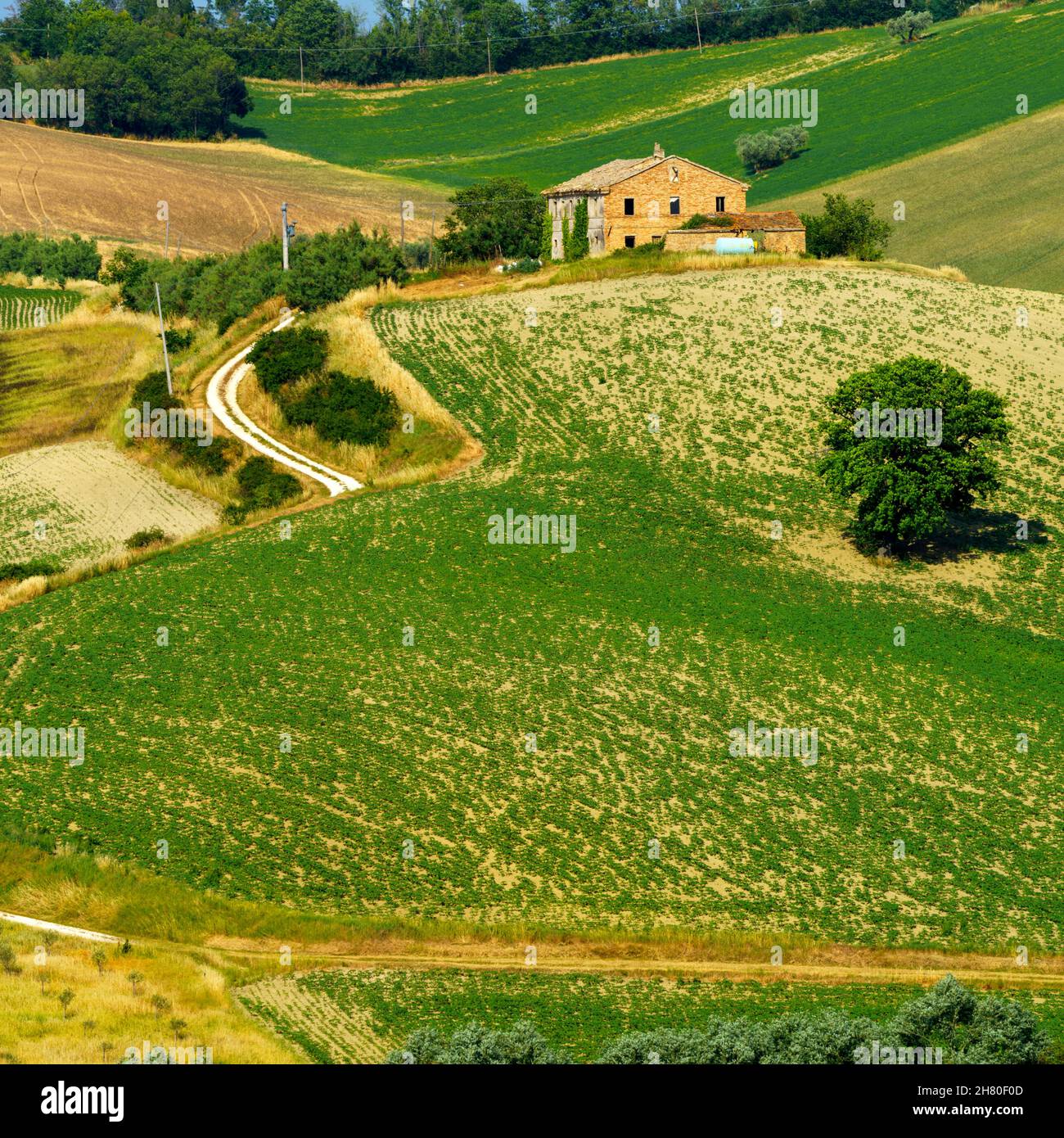 Country landscape along the road from Ostra Vetere to Cingoli, Ancona ...