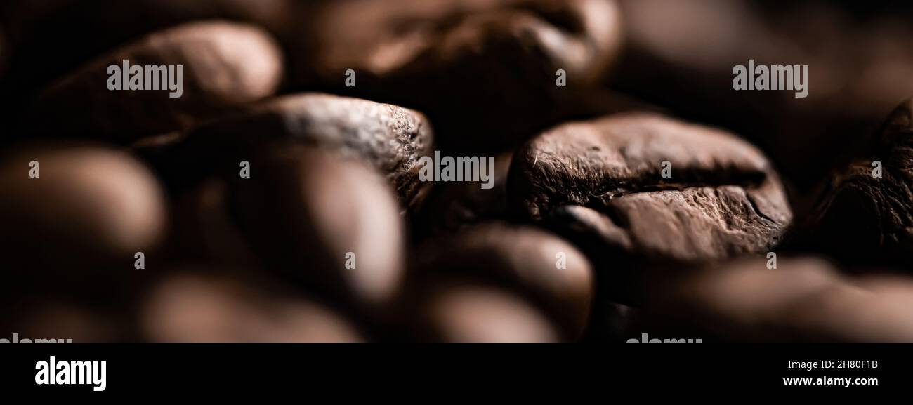 Coffee beans background, roasted signature bean with rich flavour, best ...