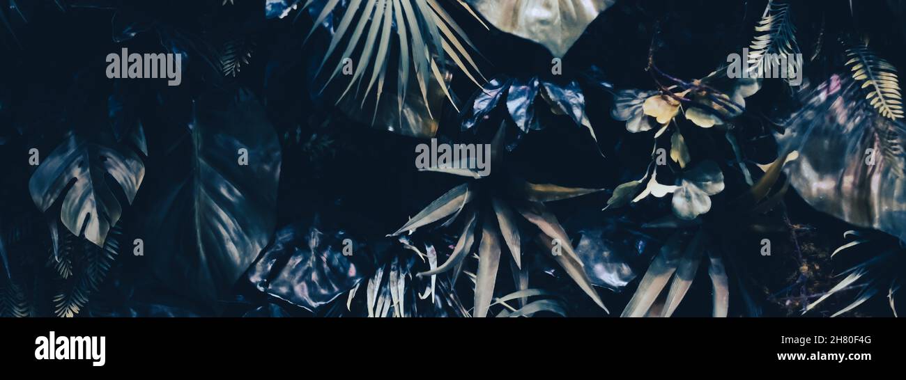 Tropical leaves as nature and environmental background, botanical ...