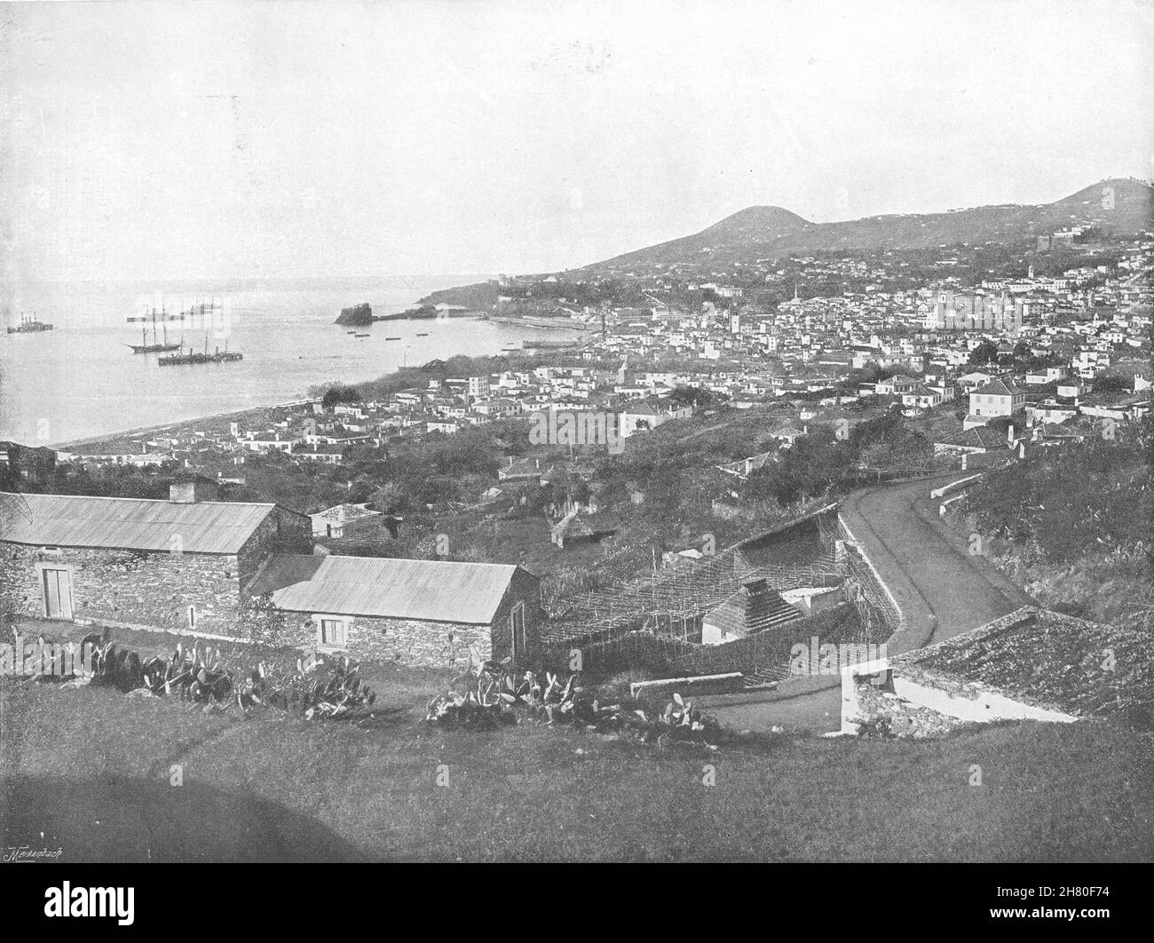 PORTUGAL. Madeira- General View of Funchal 1895 old antique print ...