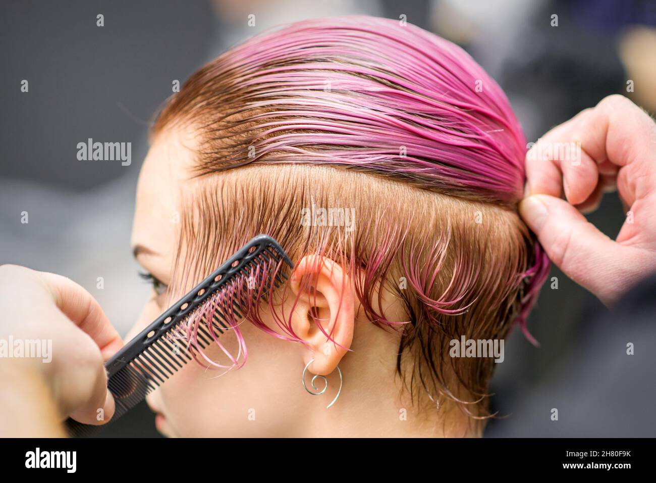 Combing the hair of a young woman during coloring hair in pink color at ...
