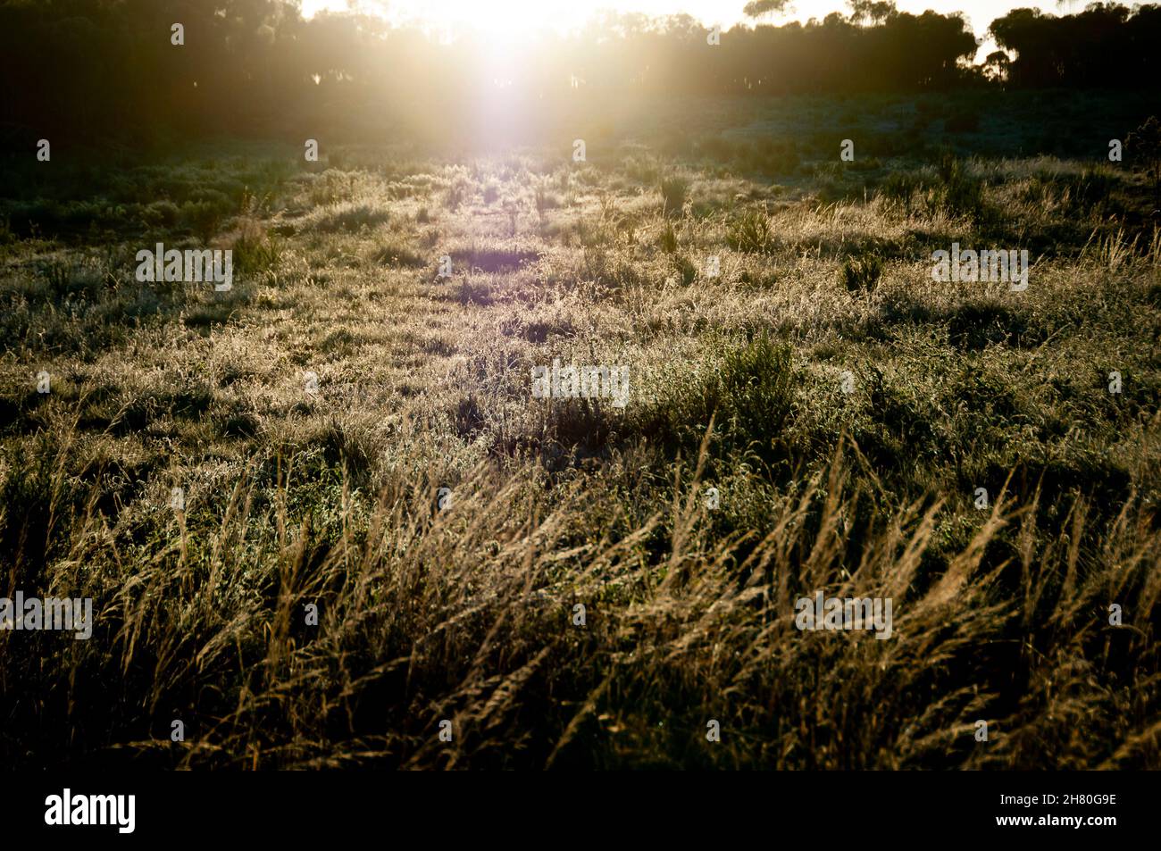 Australian snow season hi-res stock photography and images - Alamy