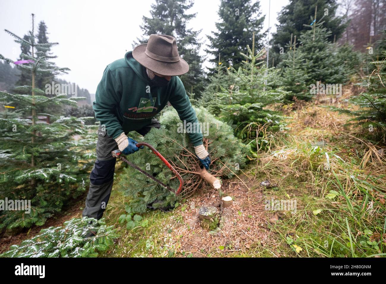 Adelberg, Germany. 26th Nov, 2021. Harald Müller, owner of the ...