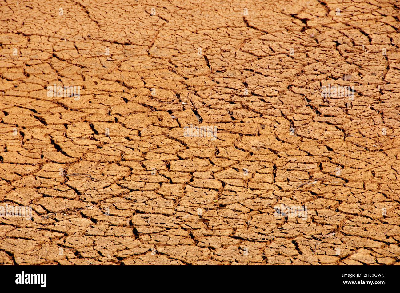 Silt soil ground hi-res stock photography and images - Alamy