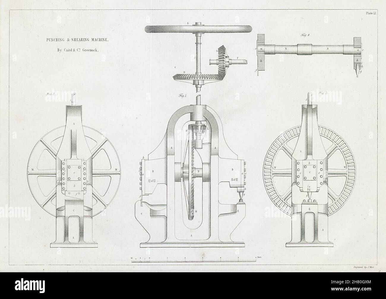 Sheep Shearing Diagram