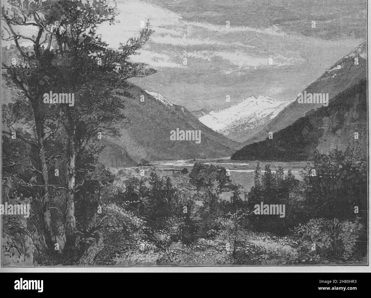 Springfield west hi-res stock photography and images - Alamy