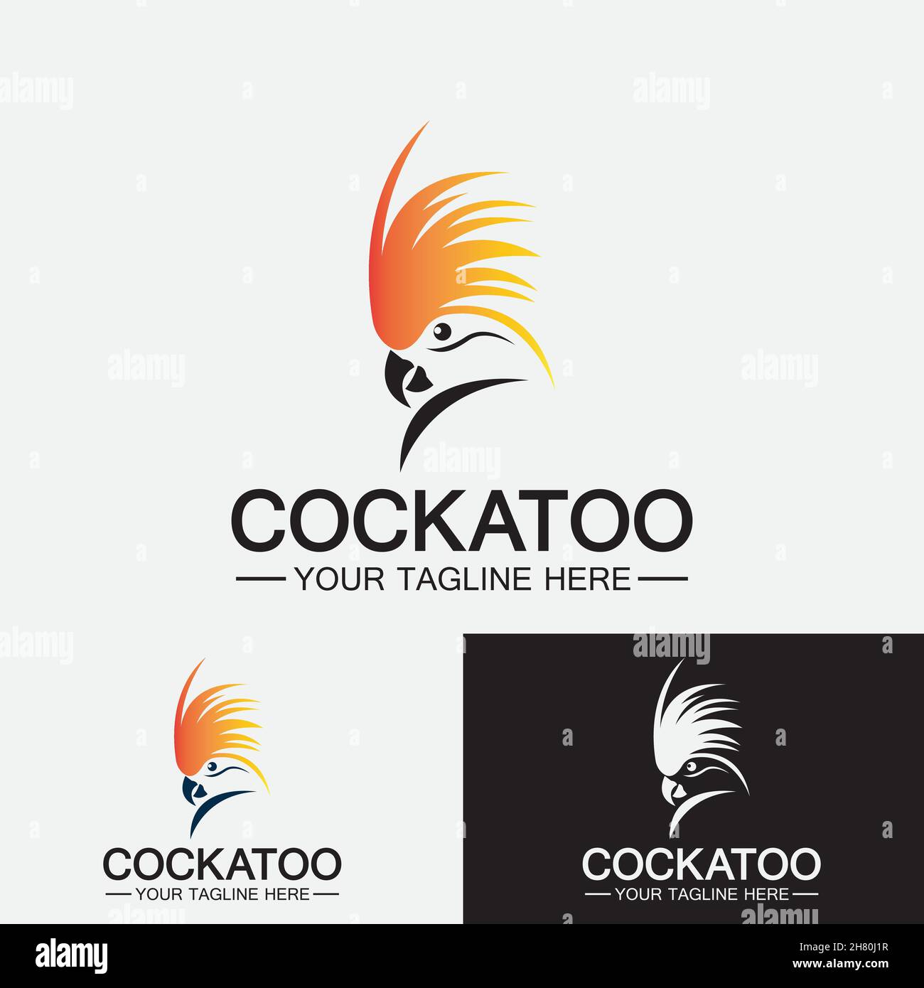 Cockatoo Parrot Bird logo design vector template Stock Vector Image ...