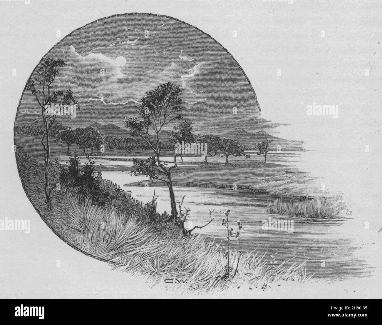 Cavendish hi-res stock photography and images - Alamy