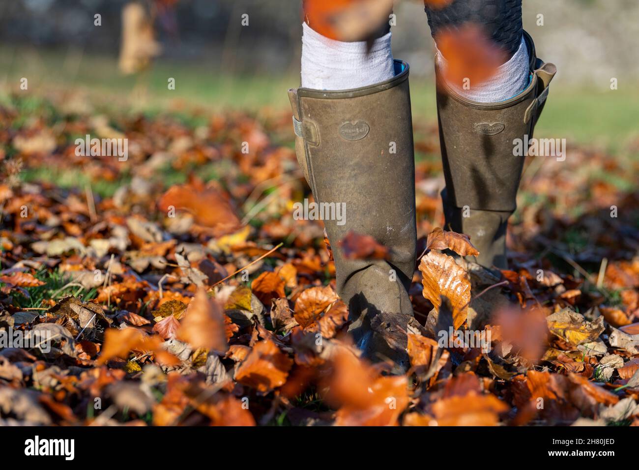 Girl in wellington boots walking through colourful fallen leaves in ...
