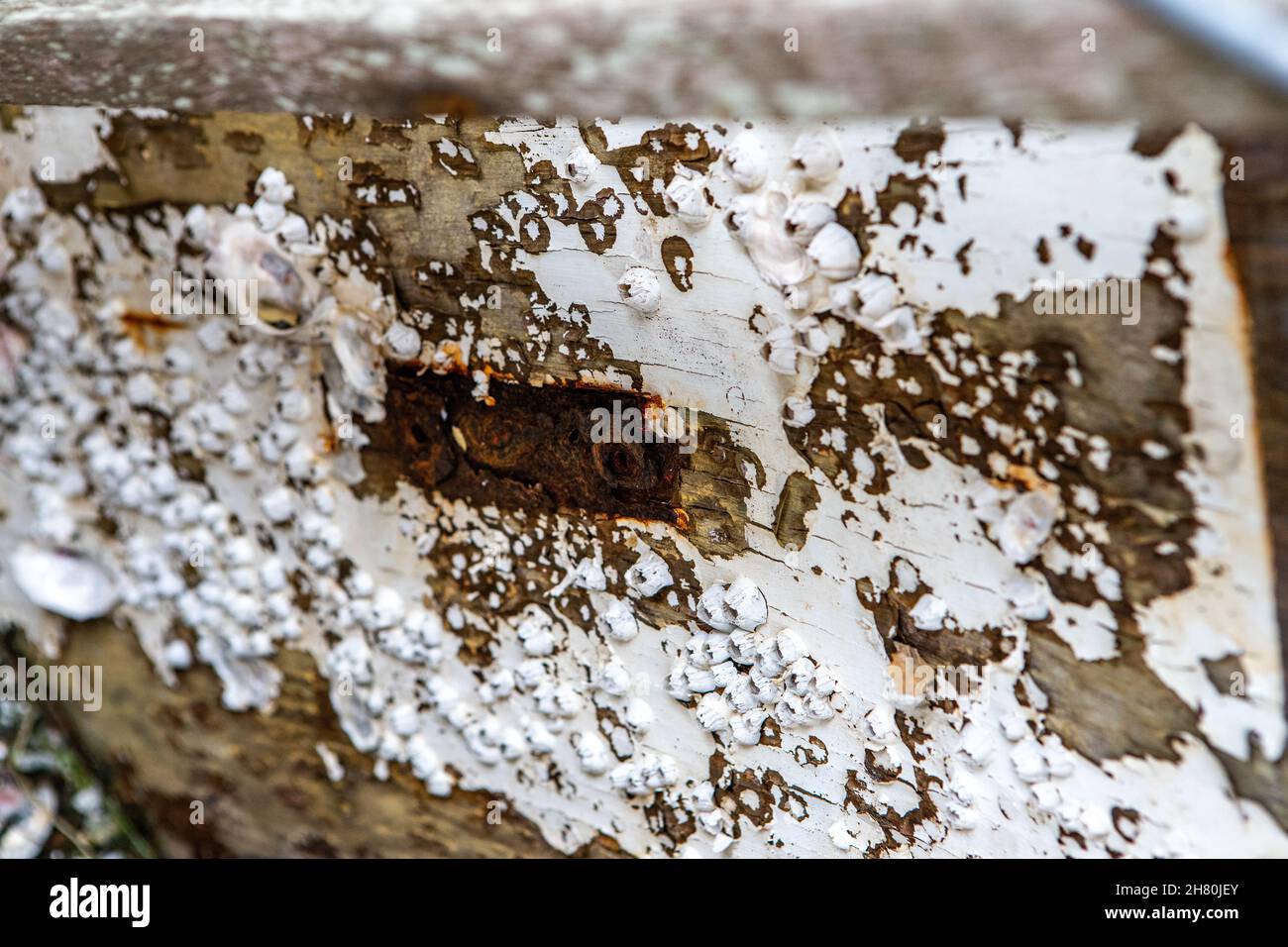 Old metal surface covered hi-res stock photography and images - Alamy