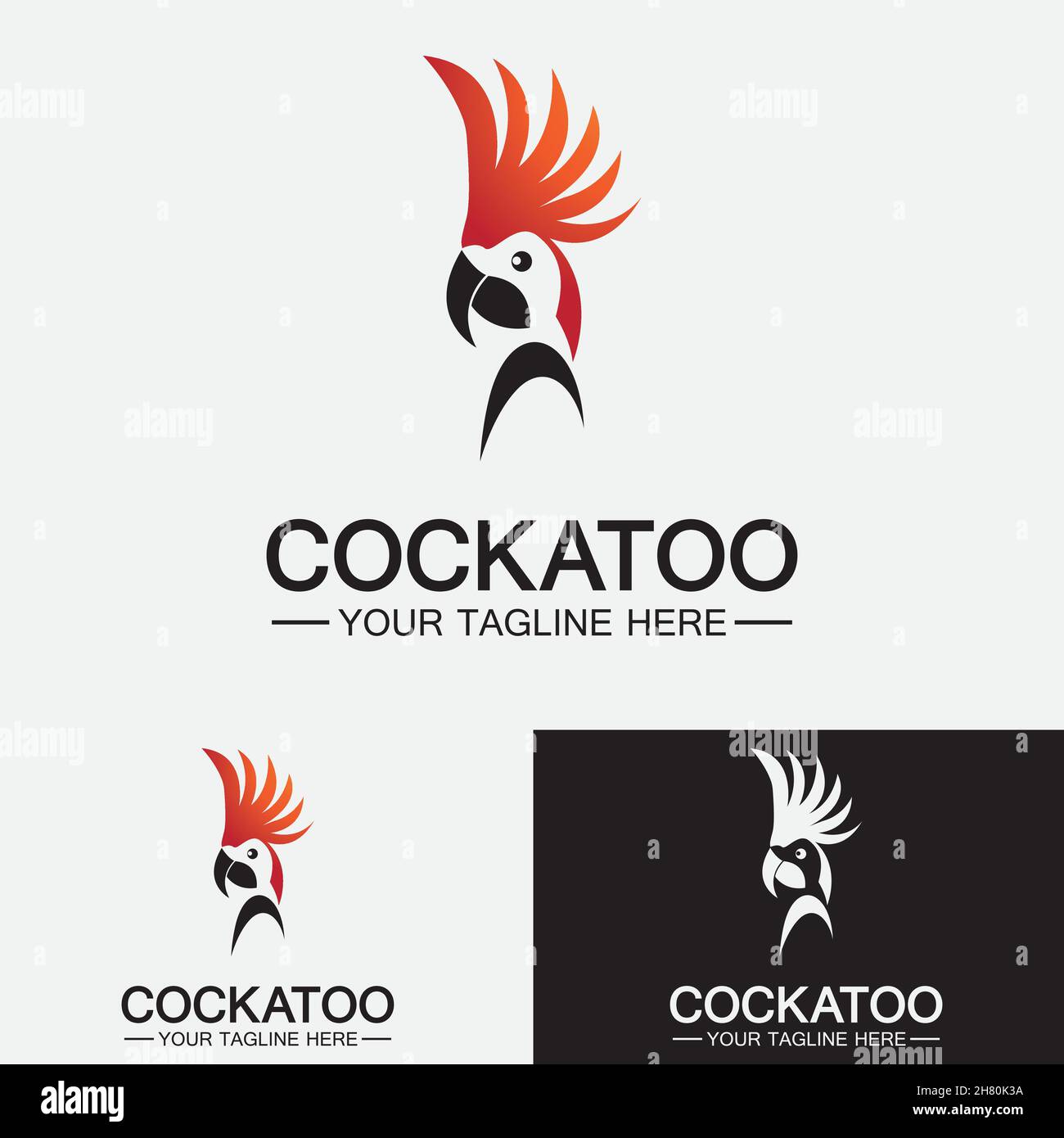 Cockatoo Parrot Bird logo design vector template Stock Vector Image ...