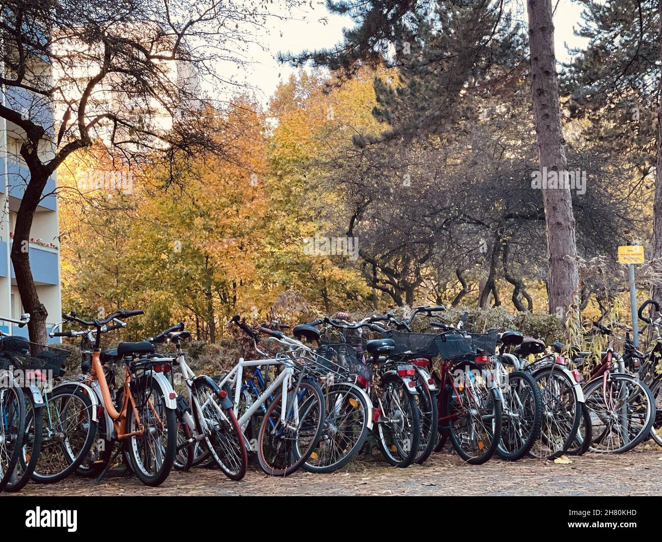 Closeup of bicycles parked next to each other at the park Stock Photo - Alamy