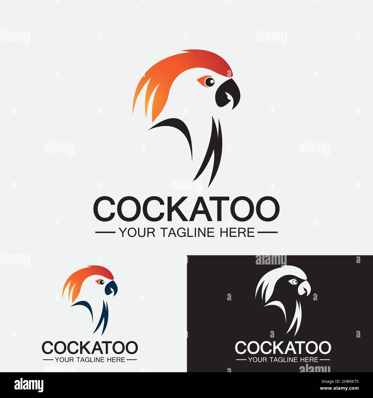 Cockatoo Parrot Bird logo design vector template Stock Vector Image ...