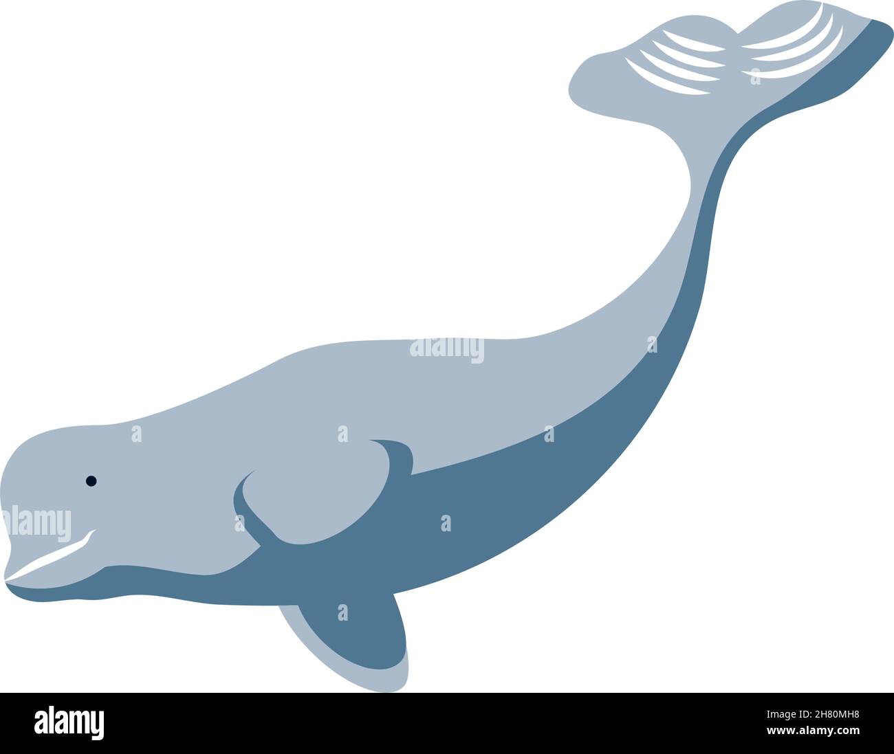 beluga whale icon Stock Vector Image & Art - Alamy