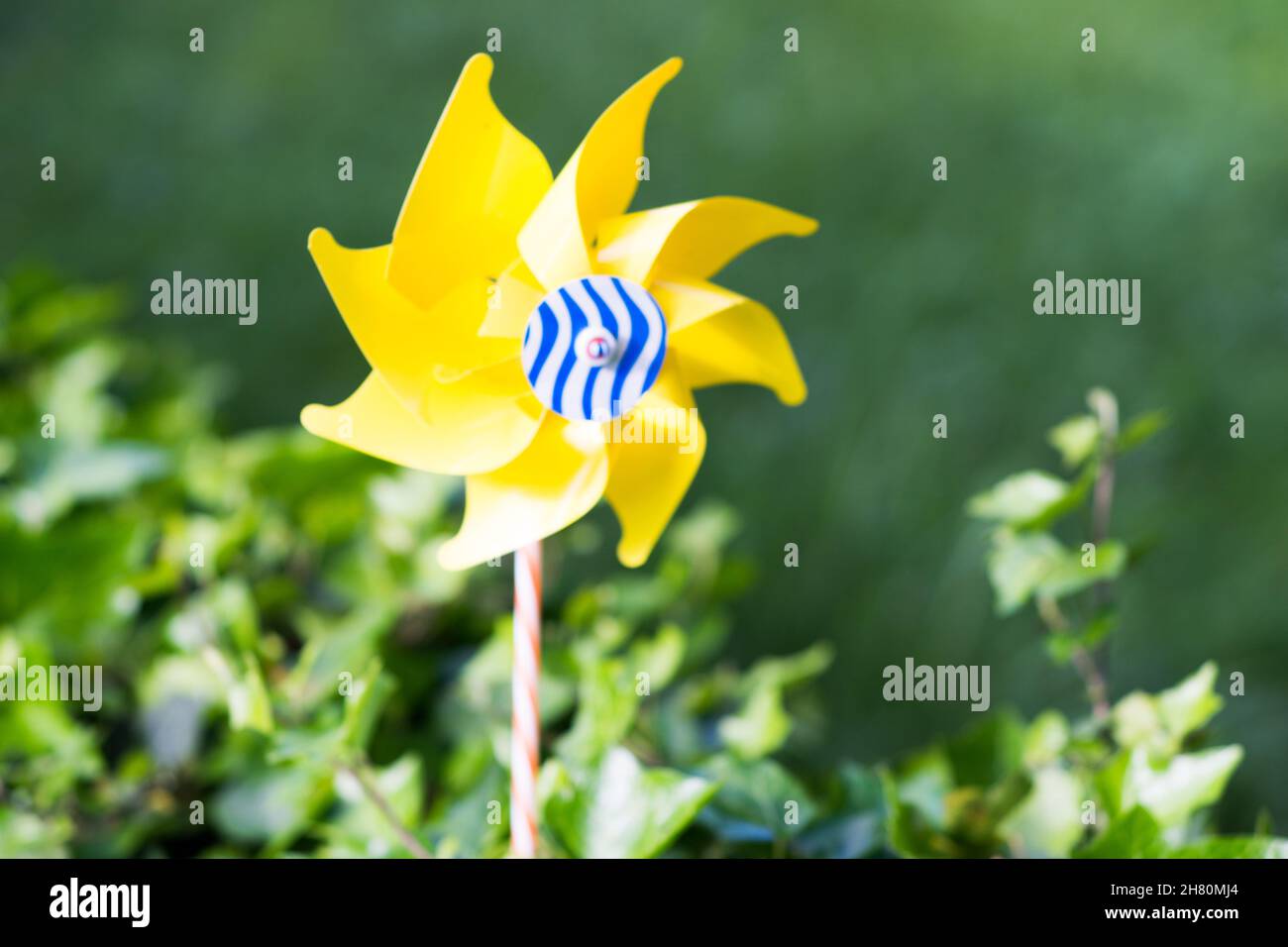 Toy wind wheel with green leaves in background Stock Photo - Alamy