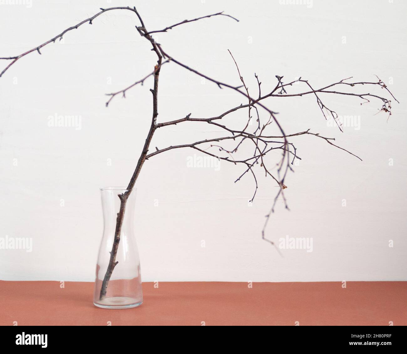 branches of a tree in vase Stock Photo - Alamy