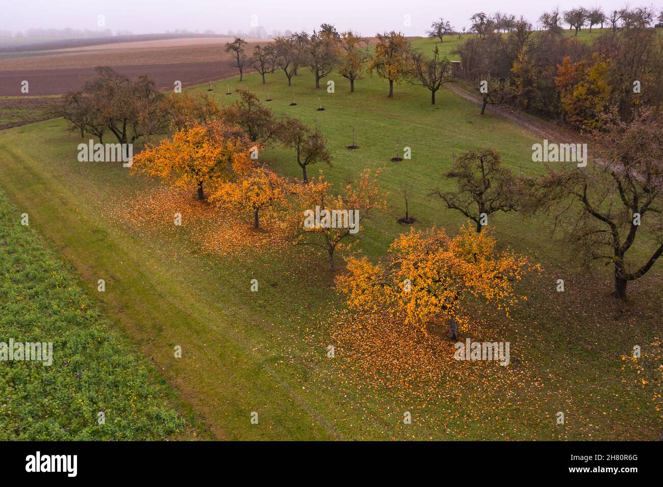Autumn fields from birds eye hi-res stock photography and images - Alamy