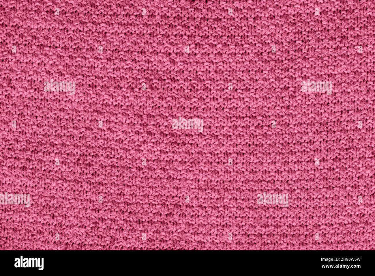 Pacific pink knitted fabric texture. Rough sweater background Stock ...
