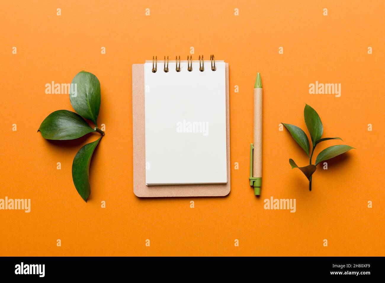 eco-friendly Empty notebook with pen and green leaf on Colored ...