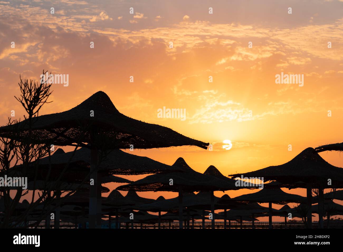 Silhouette shot of sunshades on the beach in Hurghada, Egypt during ...