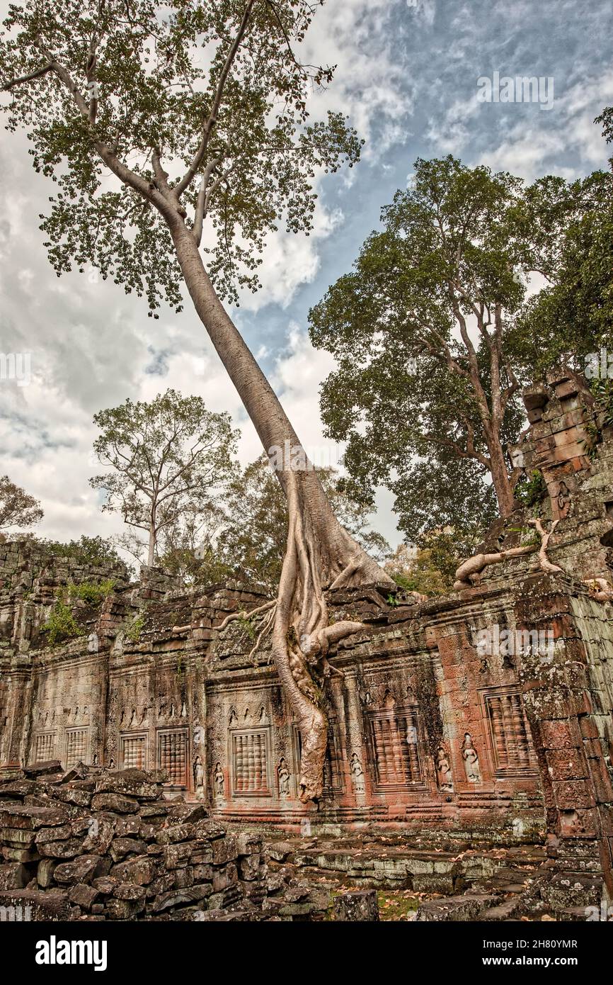 Cambodia, architecture, monuments, art, temple Stock Photo - Alamy