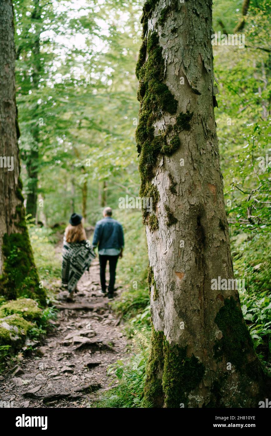 Walk along path among trees hi-res stock photography and images - Alamy