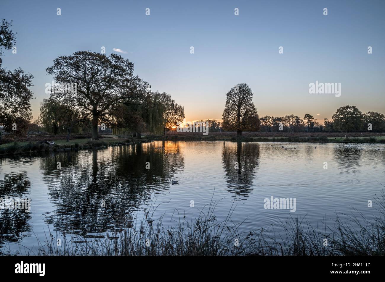 Waking up scene hi-res stock photography and images - Alamy