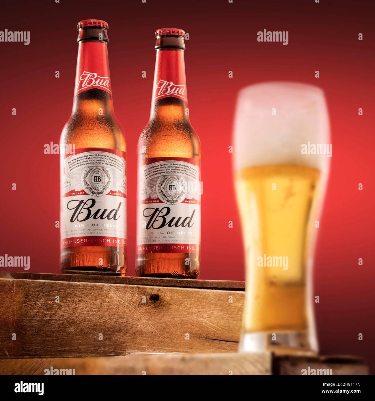 Two bottles of cold Budweiser beer and a glass of beer on a red ...