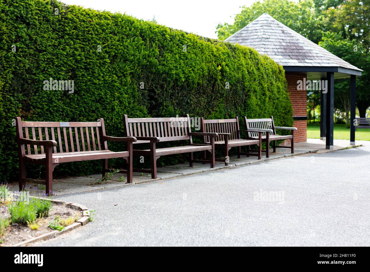 A row of empty benches in a public park. A place of rest, relaxation ...