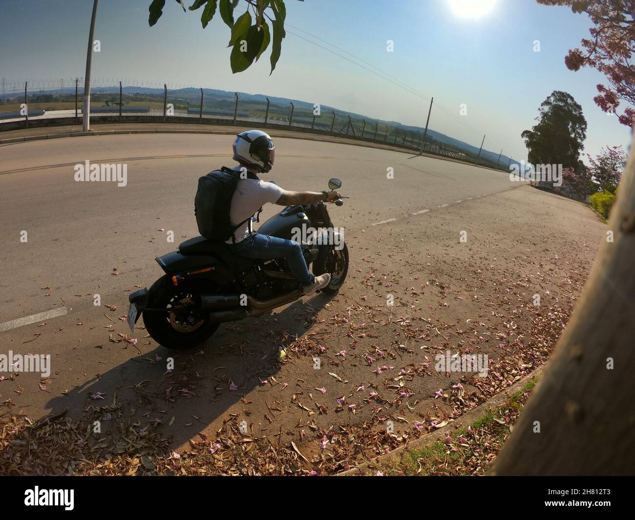 Harley davidson motorcycle rider hi-res stock photography and images ...