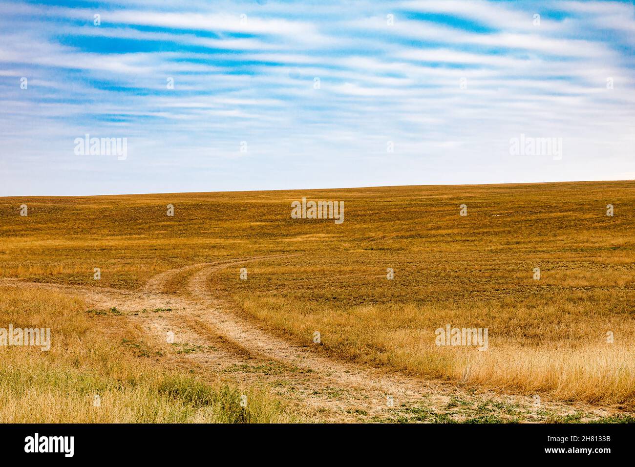 Beautiful view of the golden field against the background of the sky ...