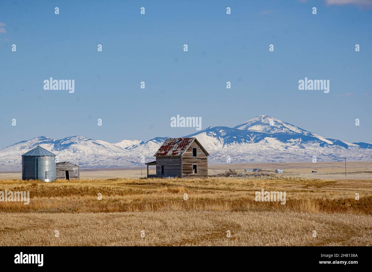 Old wooden house and a barn in the field. Sweetgrass Hills Stock Photo ...