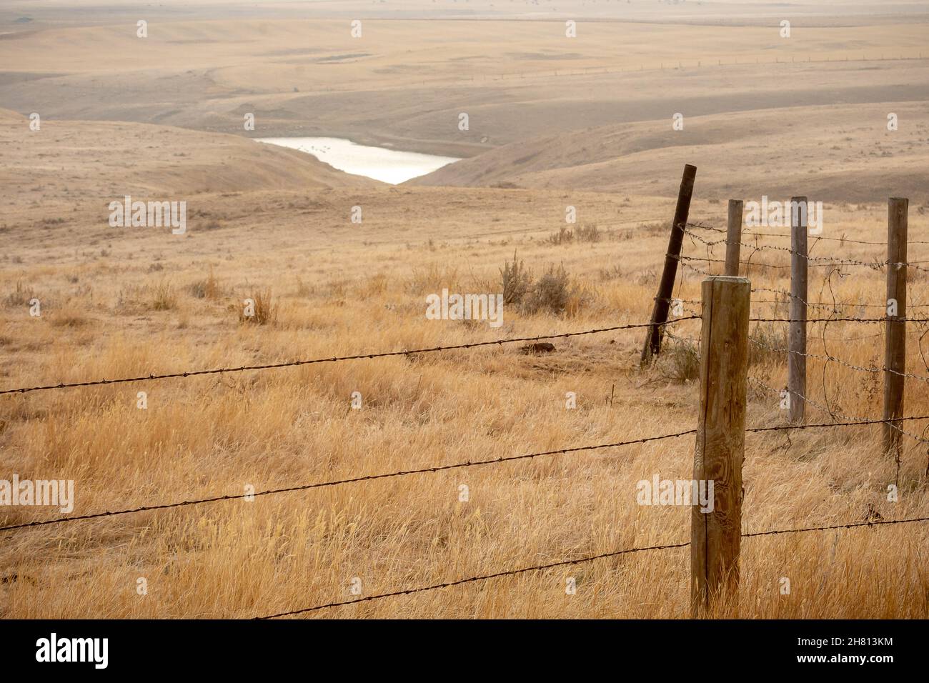 Sweetgrass hills hi-res stock photography and images - Alamy