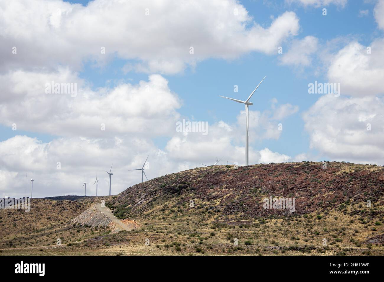 Cape Town. 22nd Nov, 2021. Photo taken on Nov. 22, 2021 shows wind ...