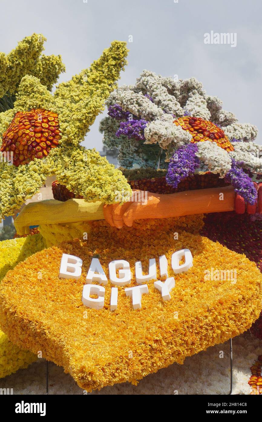 White font of Baguio City words on yellow Chrysanthemum flowers with ...