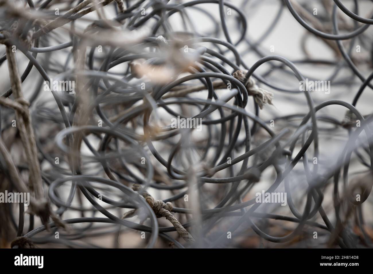 Wire tangled stone hi-res stock photography and images - Alamy