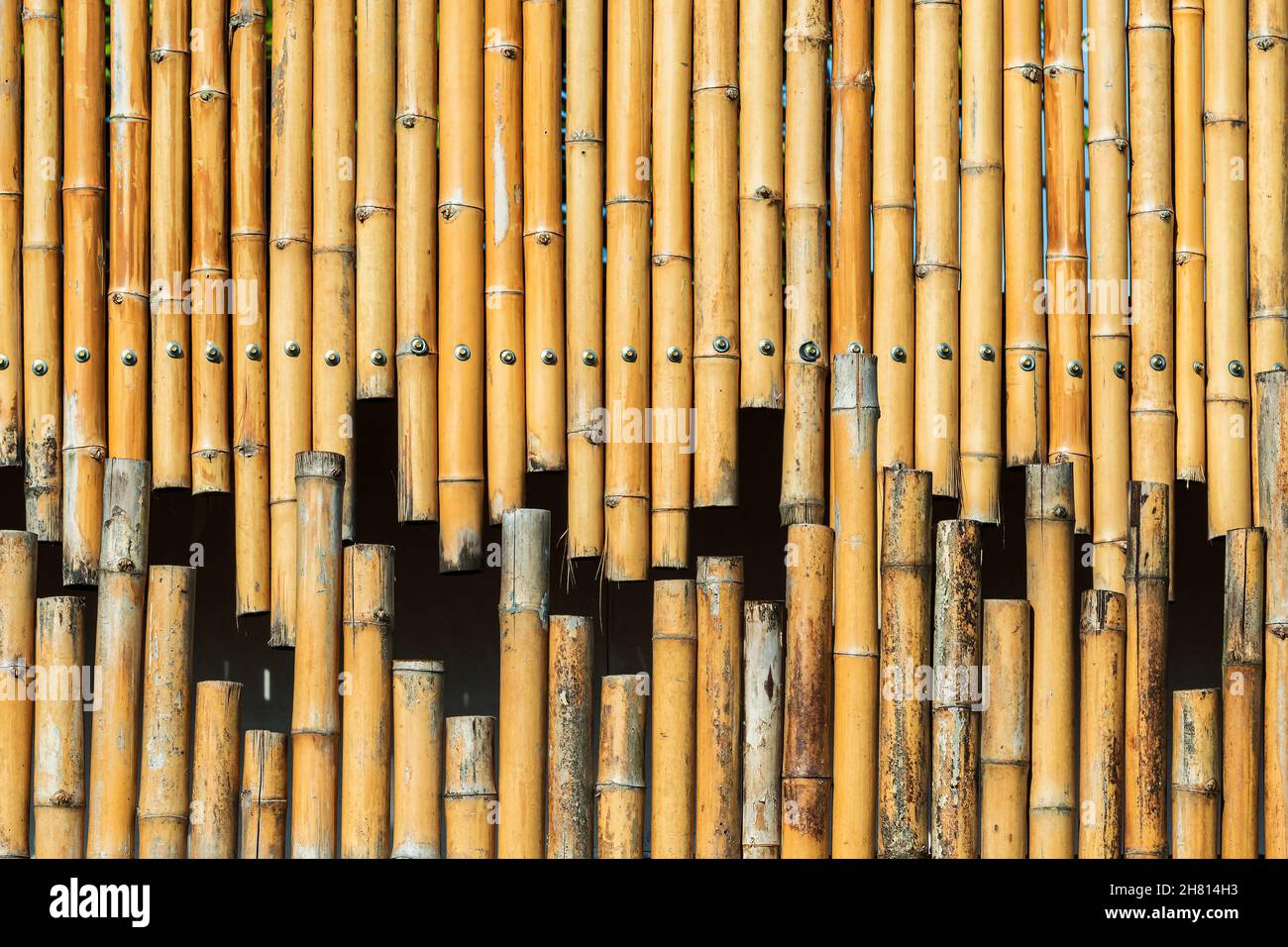 Old brown tone bamboo simple wall or Bamboo fence texture background ...