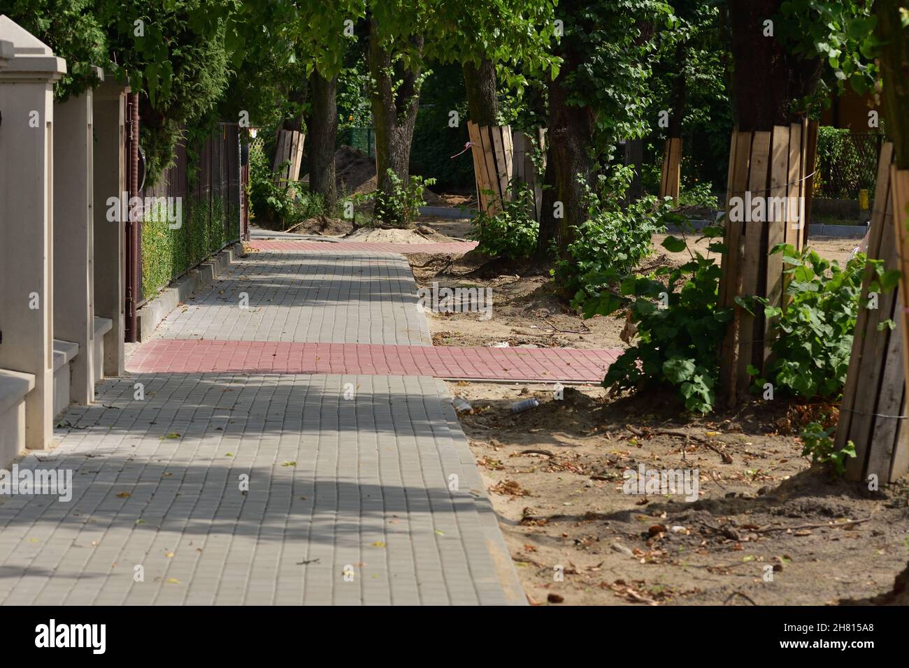 Renovation of the pavement, excavation and protection of trees from ...