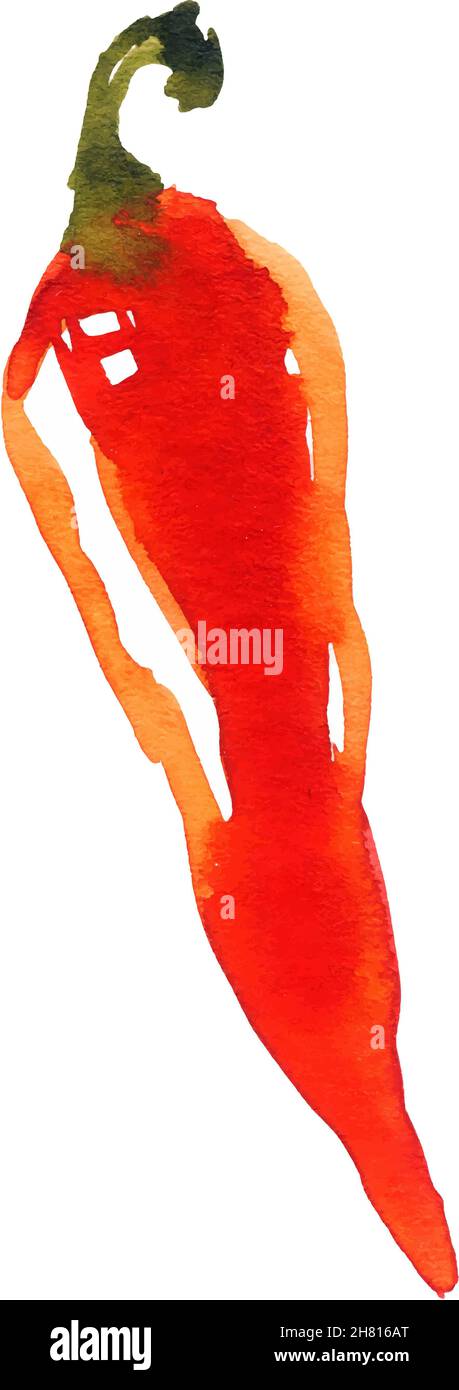 Watercolor painting of hot red pepper, seasoning, food Stock Vector ...