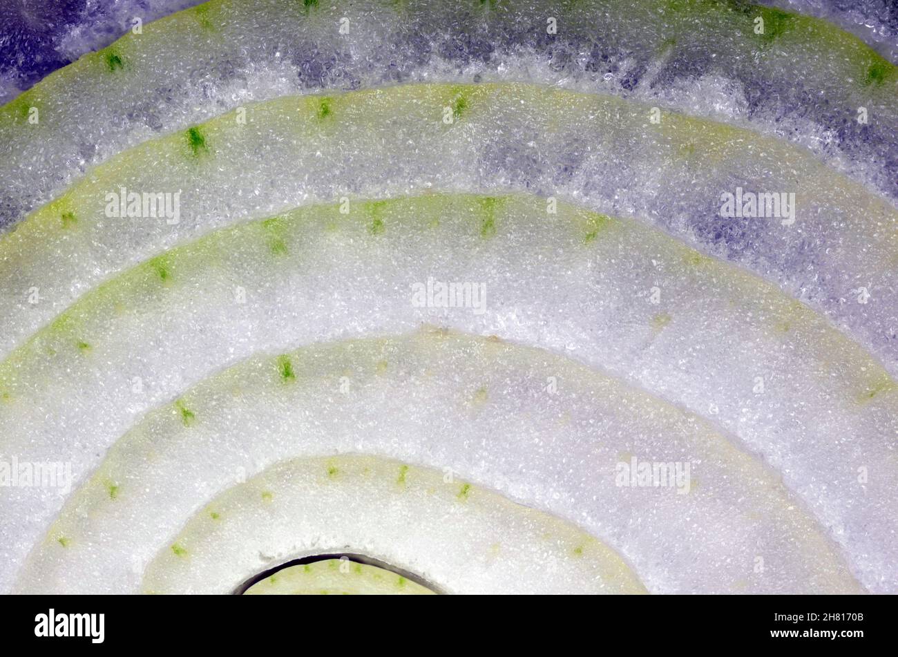 Sliced onion as Texture, in blue backround Stock Photo - Alamy