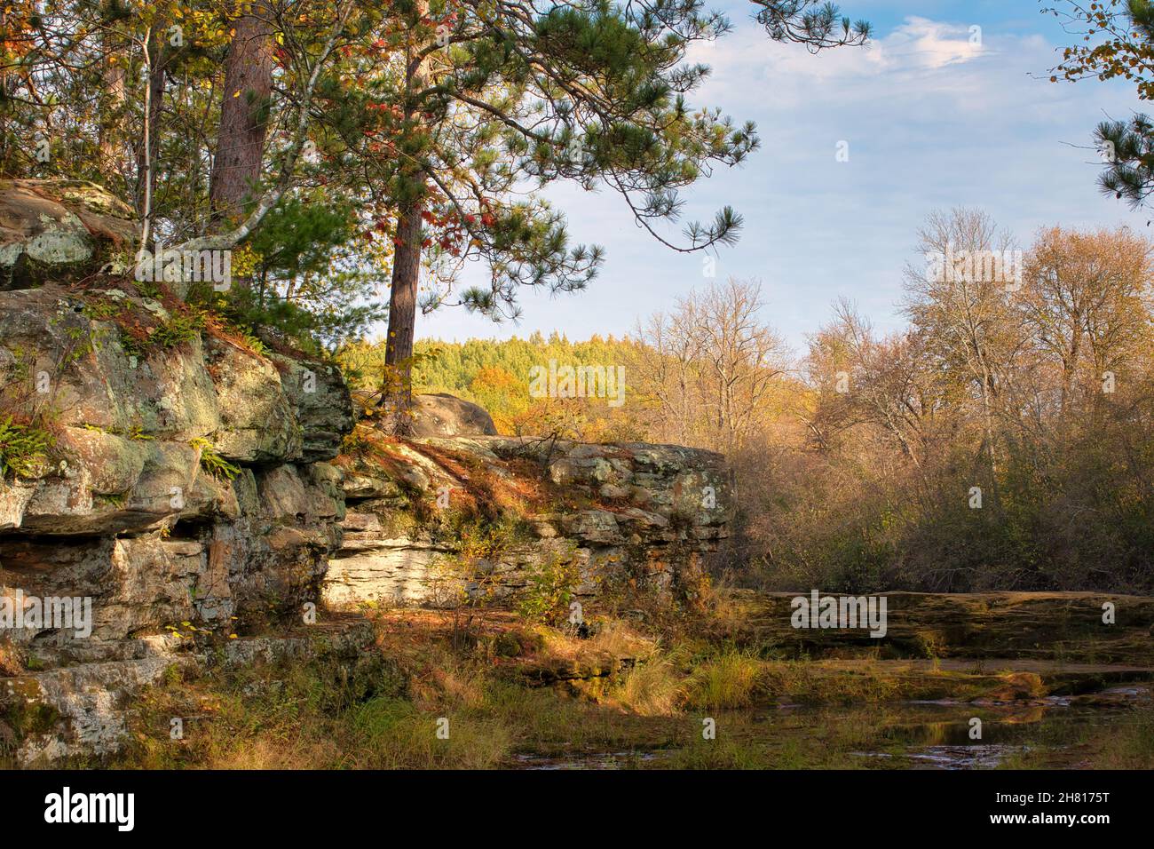 Landscape with rocks and trees showing fall colors. Taken in Banning ...