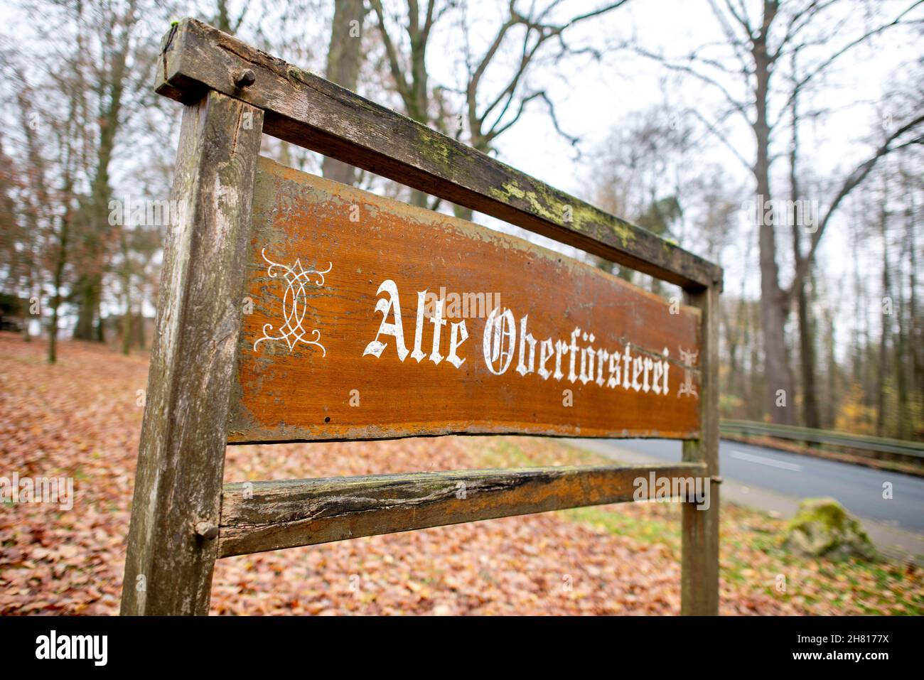Bassum, Germany. 26th Nov, 2021. A wooden sign stands on a meadow in ...