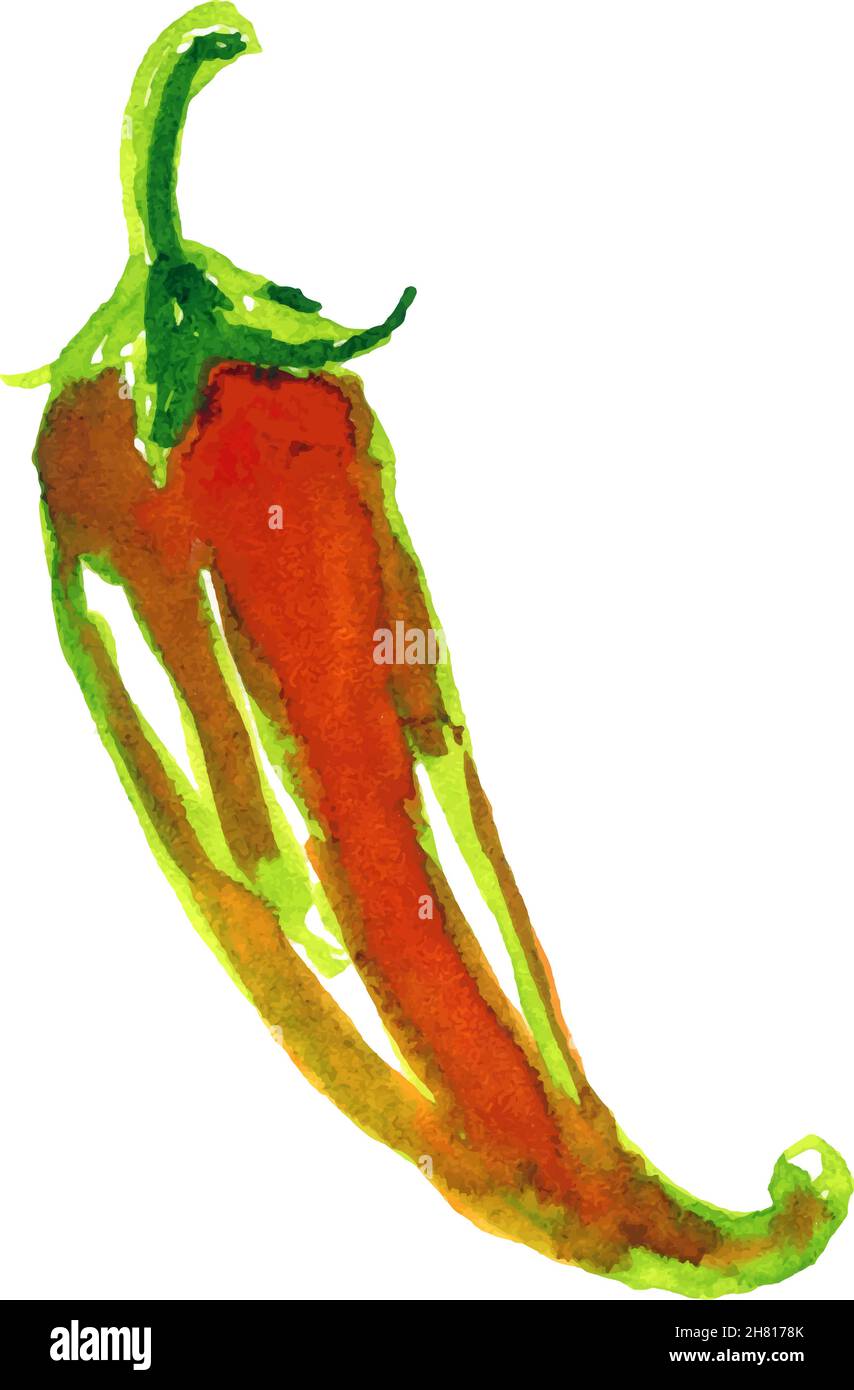 Watercolor painting of hot red pepper, seasoning, food Stock Vector ...