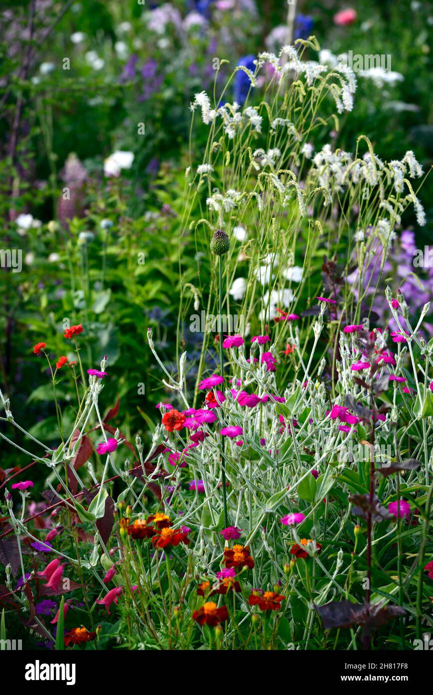 Planting schem hi-res stock photography and images - Alamy