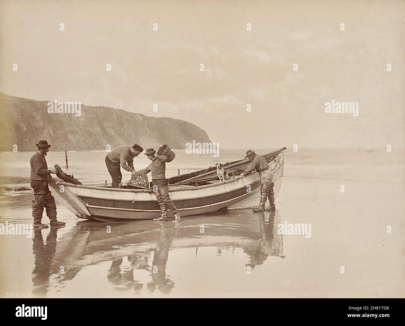 Sutcliffe Gallery High Resolution Stock Photography and Images - Alamy