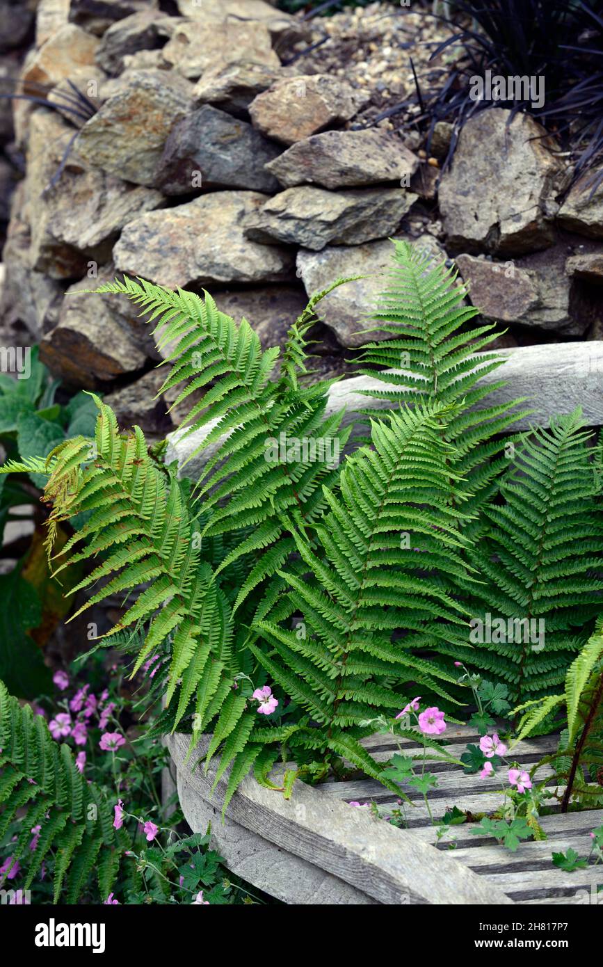 Wooden seat seating hi-res stock photography and images - Alamy